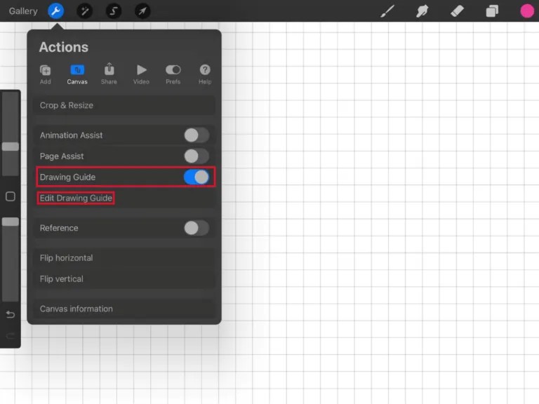 How To Mirror On Procreate With Two Must know Methods