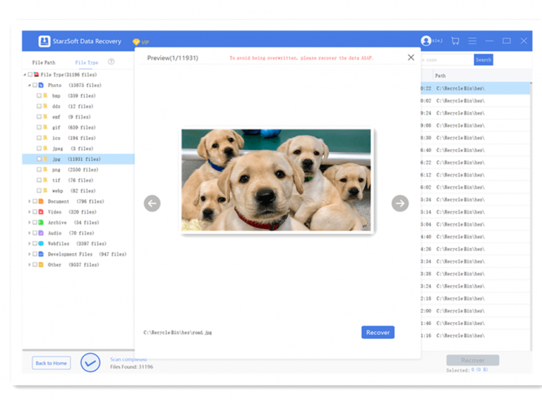 [2024] Everything You Need to Know about EaseUS Data Recovery Crack